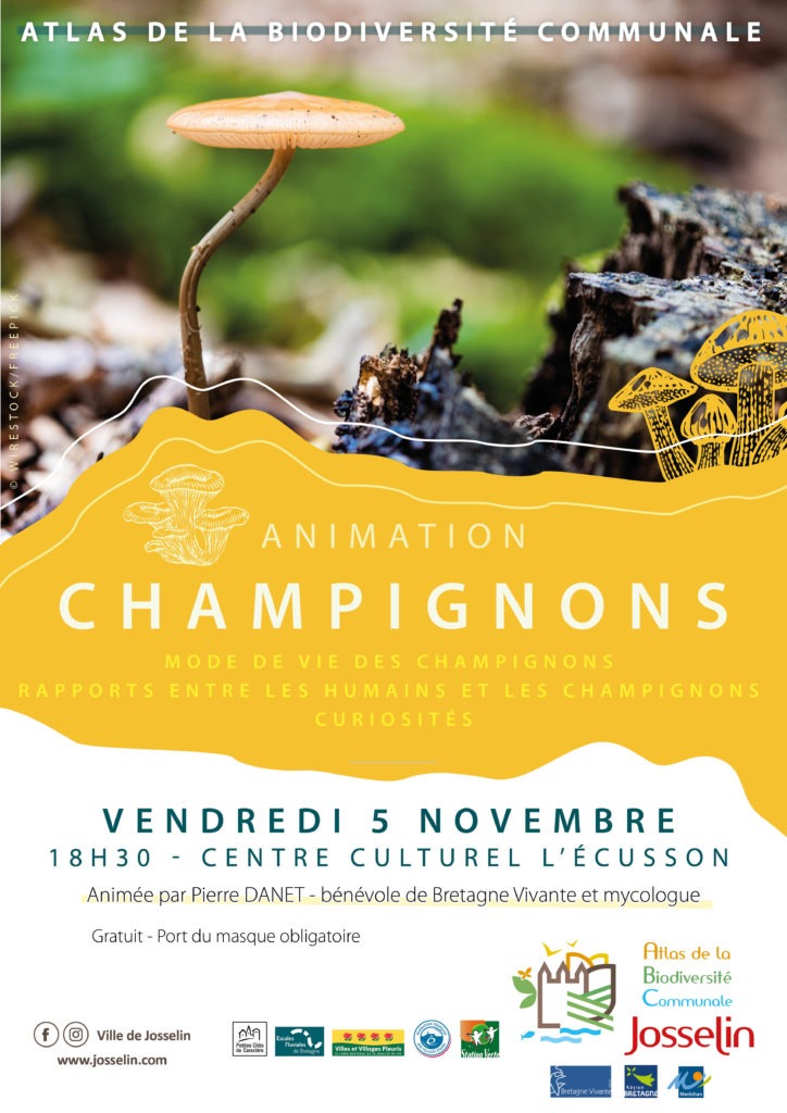 Animation Champignons - Association Polen